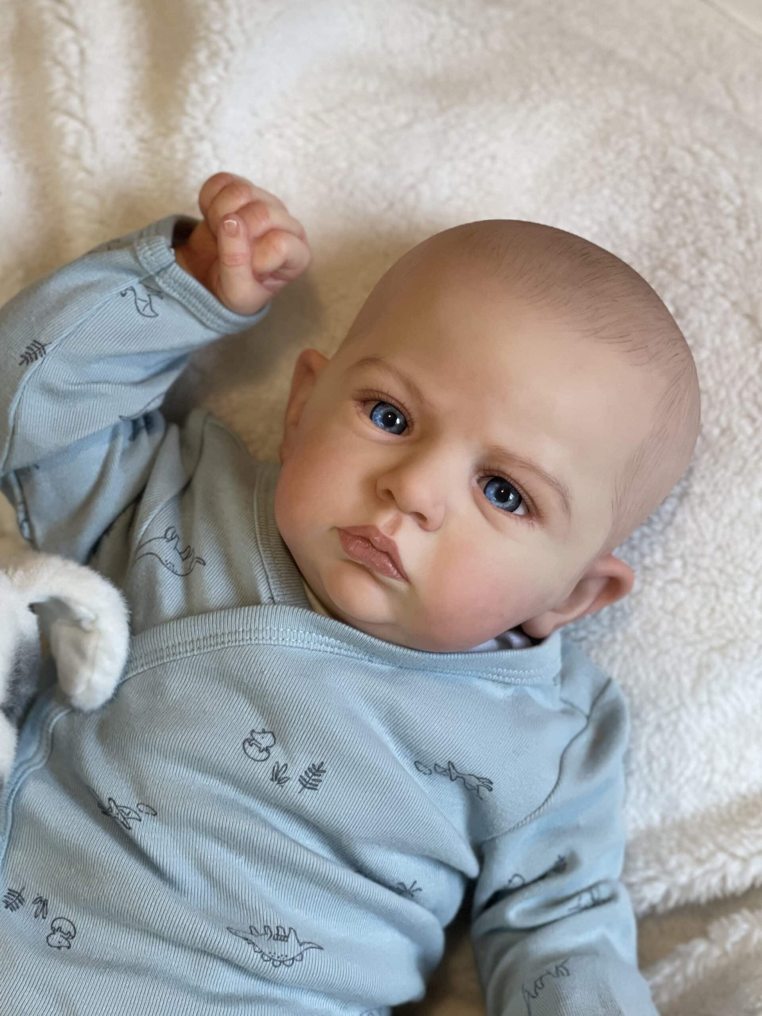 Finished Vinyl Reborns - My World of Babies