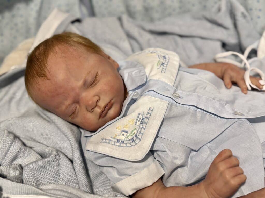 Previously owned: Jayden by Natalie Scholl, reborn artist unknown ...