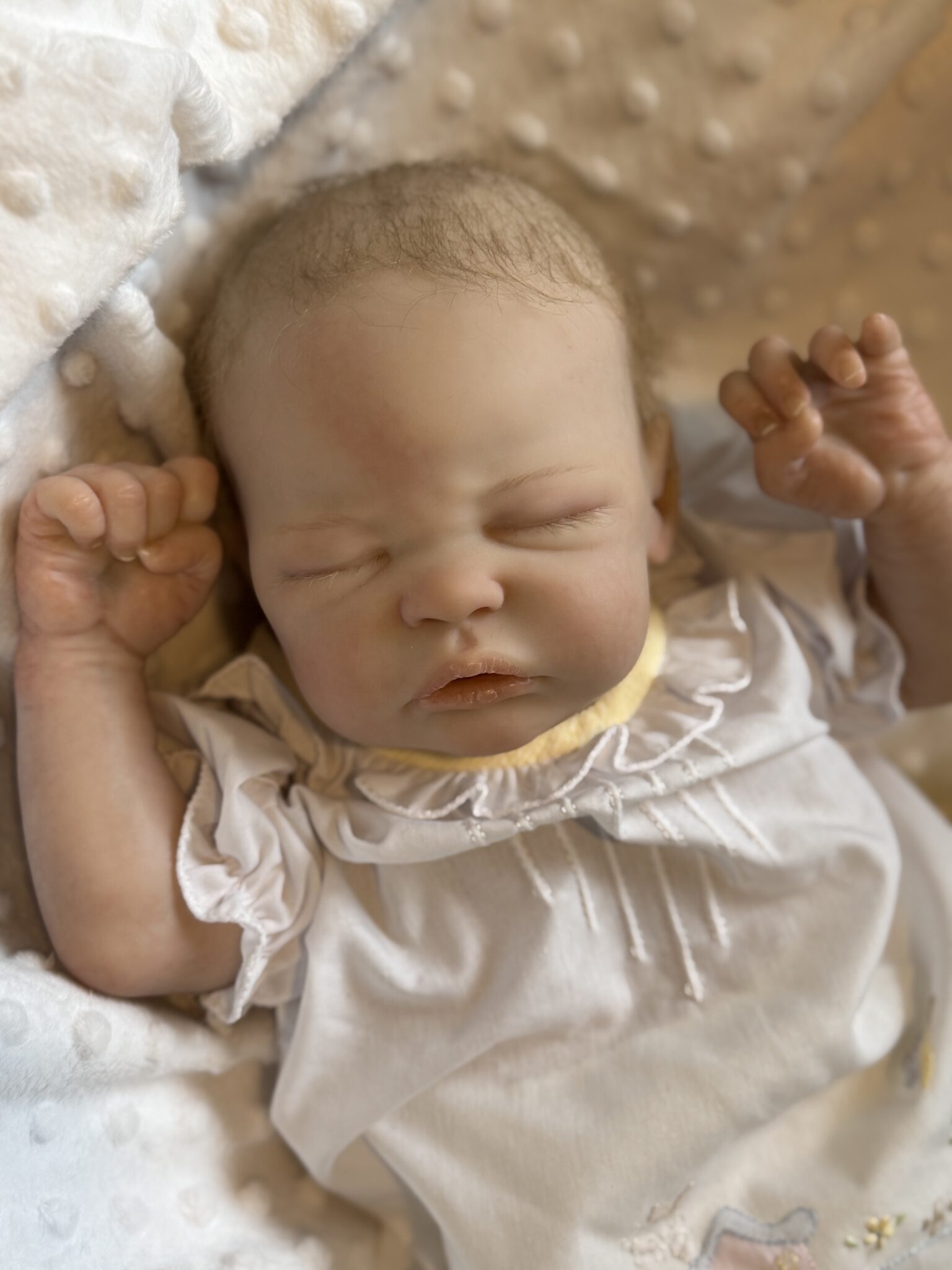 Previously owned: Quinlynn by Laura Lee Eagles, reborn artist unknown ...